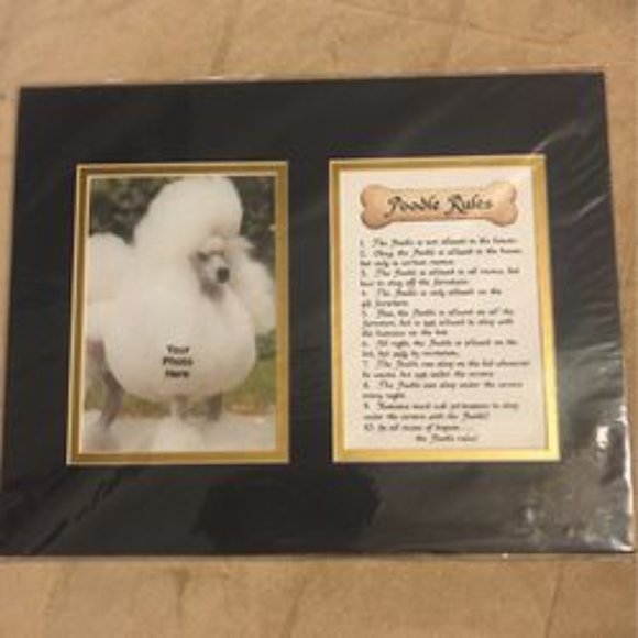 Wall Decor | Poodle Rules Matted Frame | Poshmark